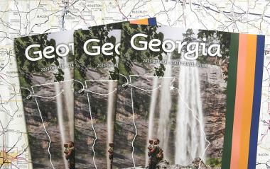 industry.exploregeorgia.org